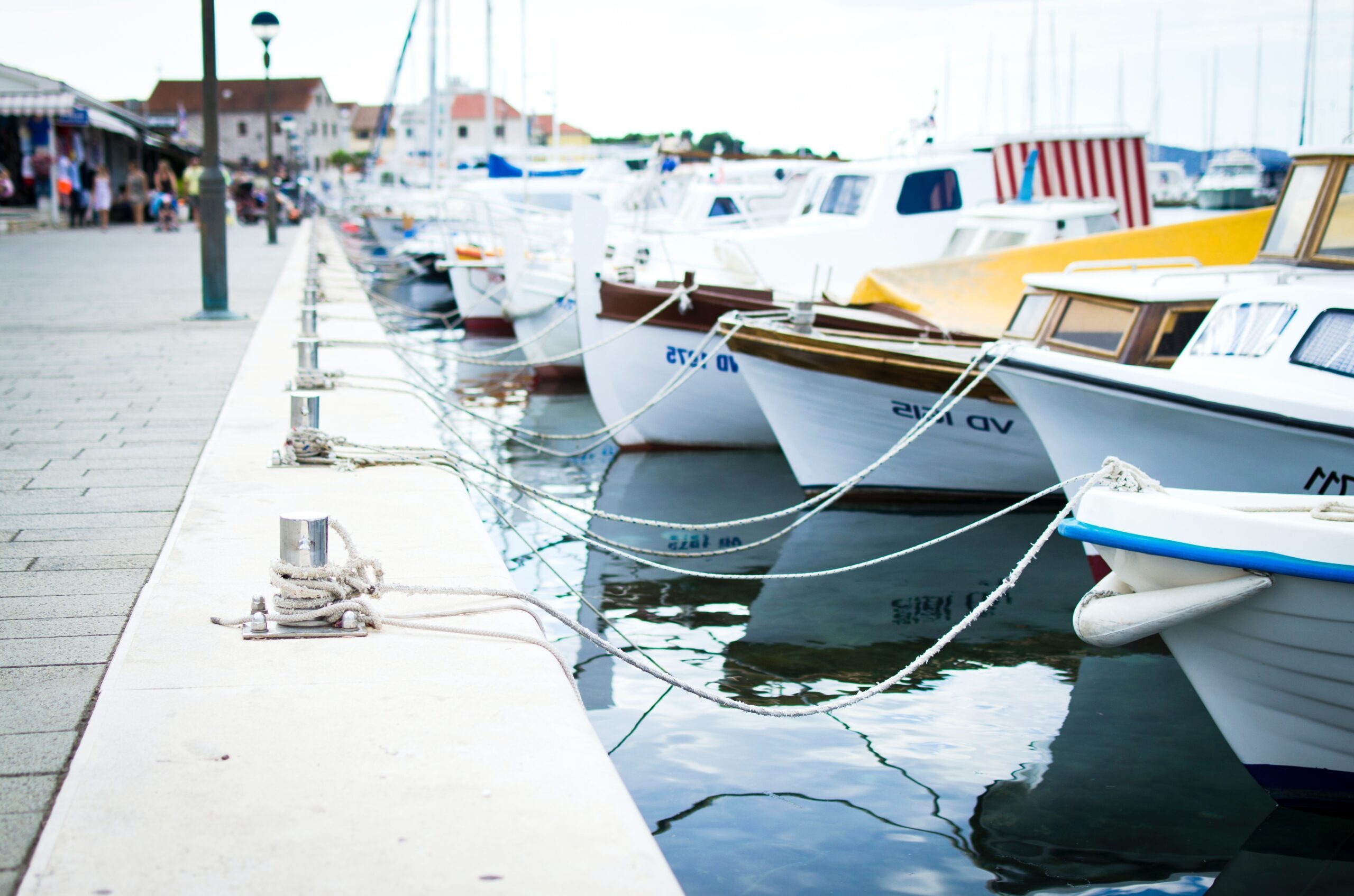 Dansk Kyst- og Naturturisme