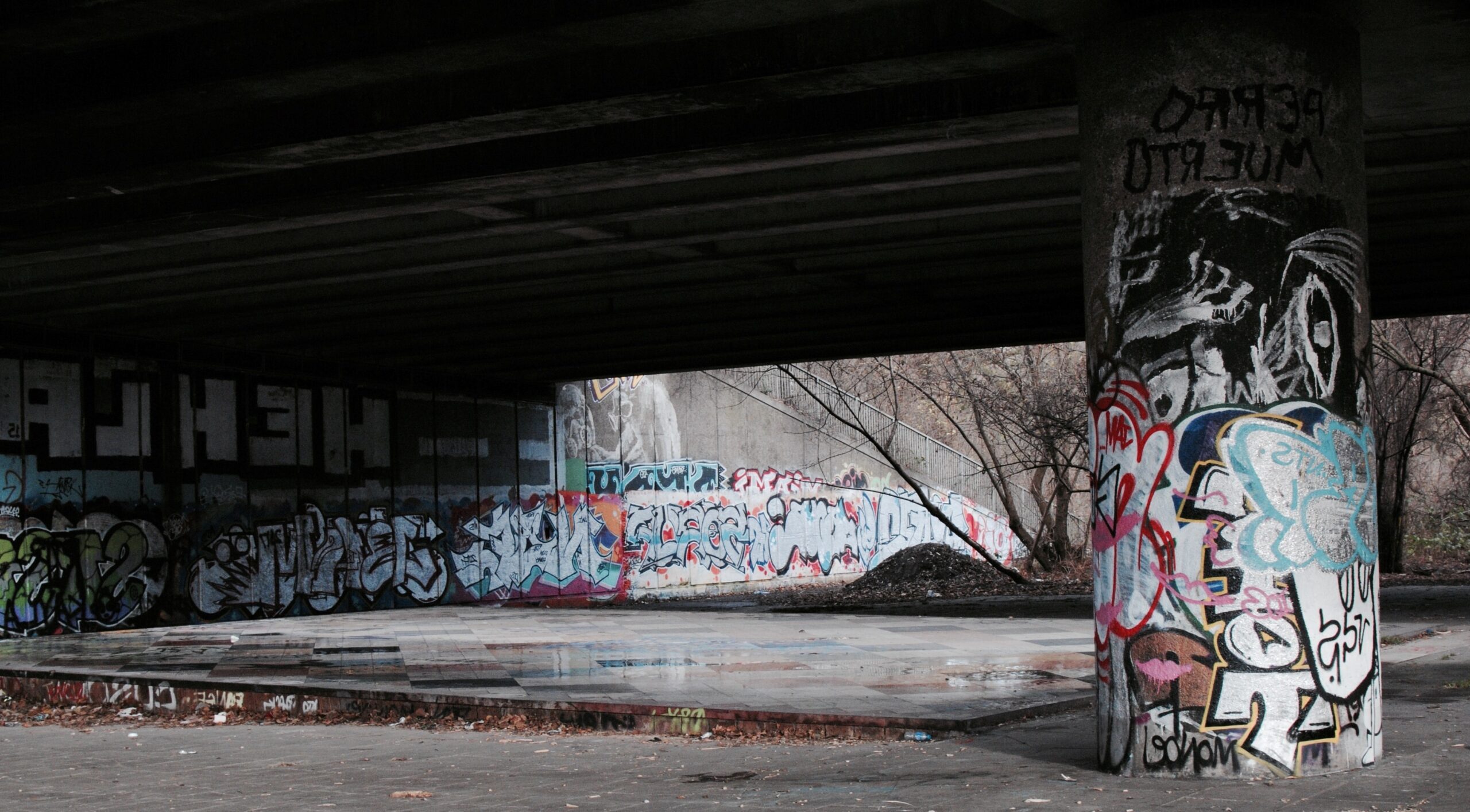 The Danish Crime Prevention Council